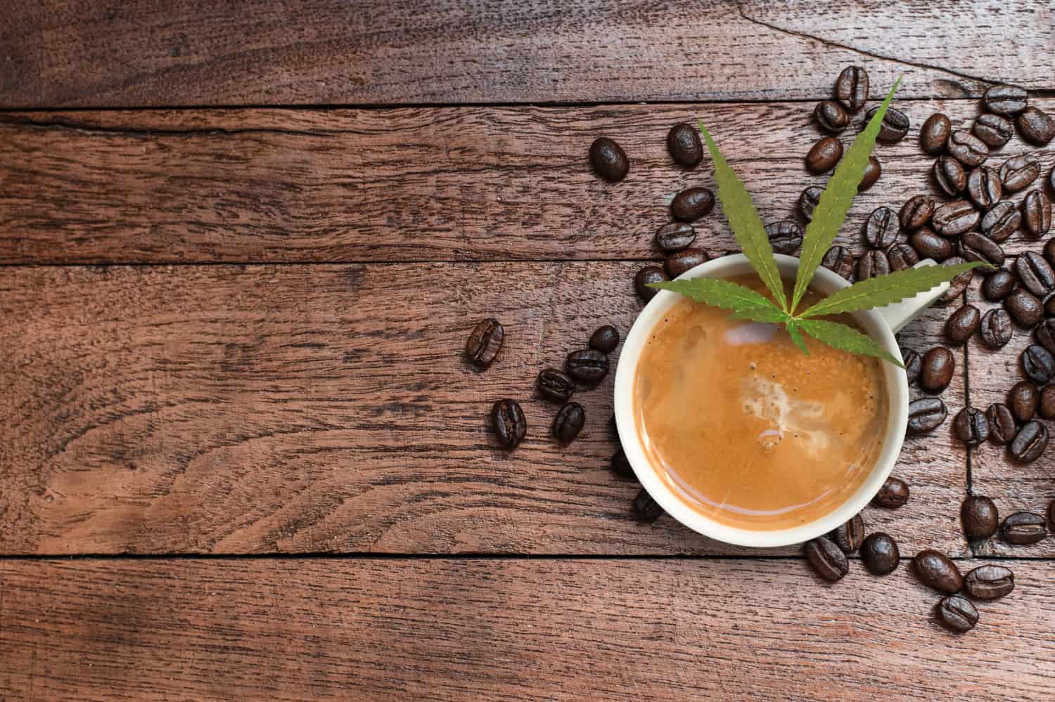 CBD Oil In Coffee | Learn to Make CBD Infused Coffee At Home