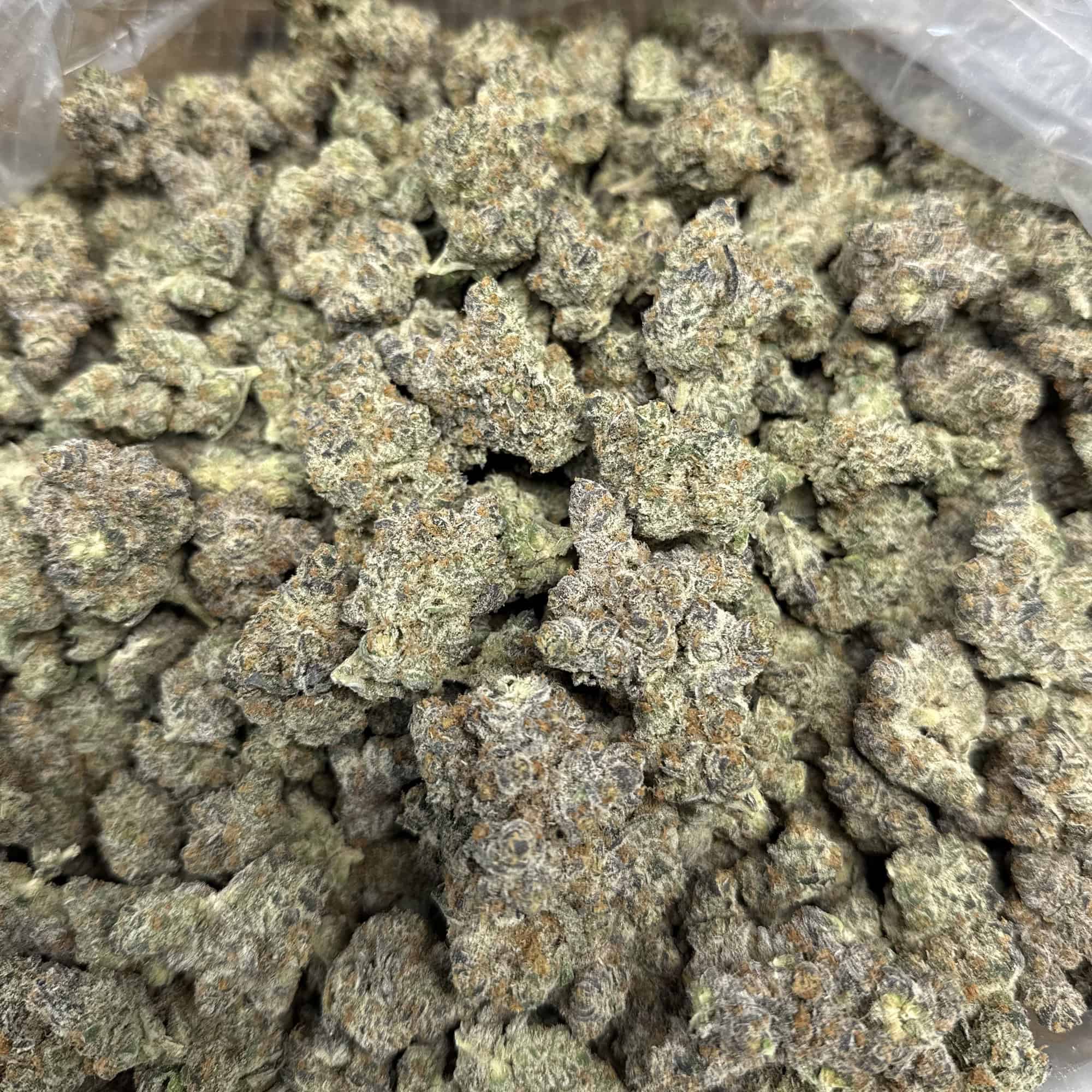 Jealousy Strain THCA Flower | Wholesale THCA Flower Pounds