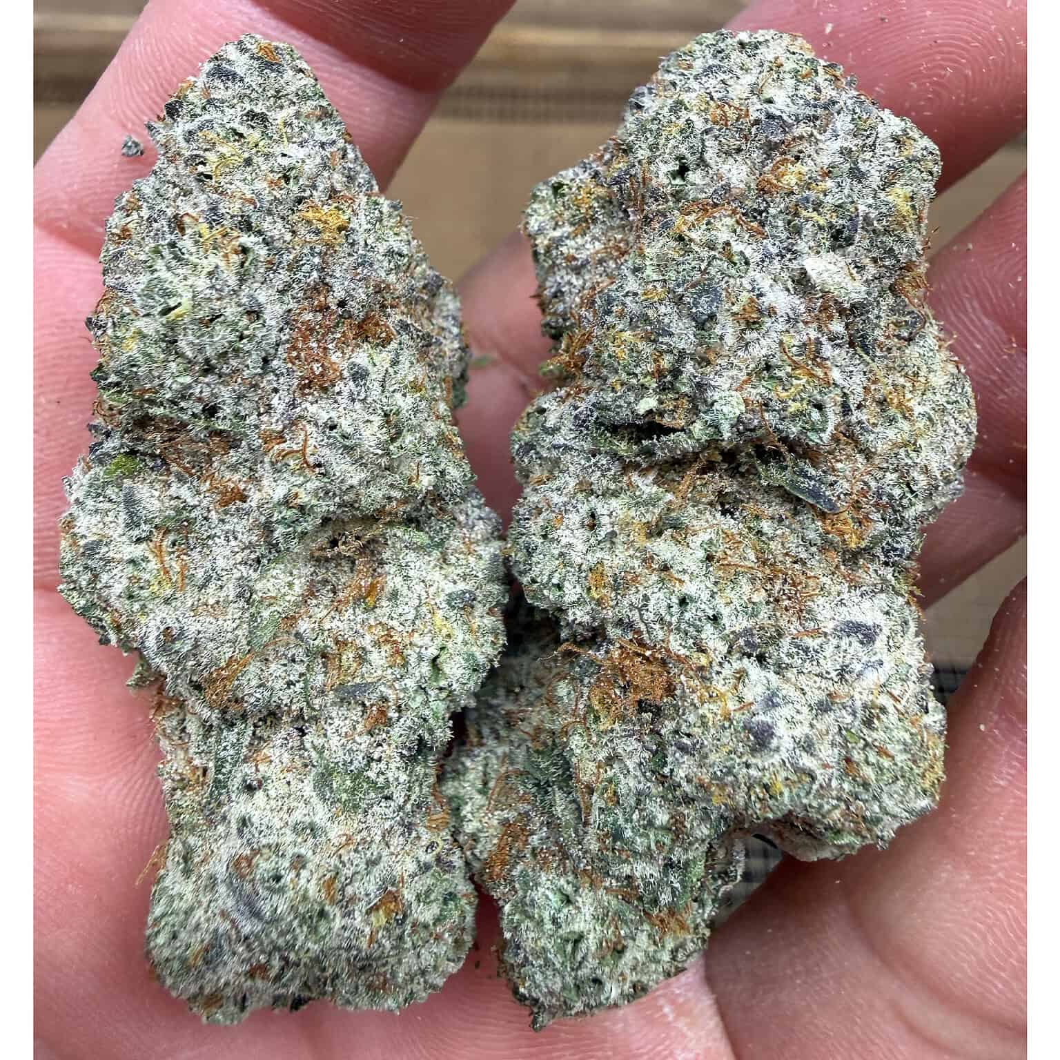 White Runtz THCA Flower Pounds | Wholesale Bulk THCA Flower