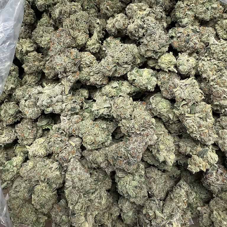 White Runtz THCA Flower Pounds | Wholesale Bulk THCA Flower