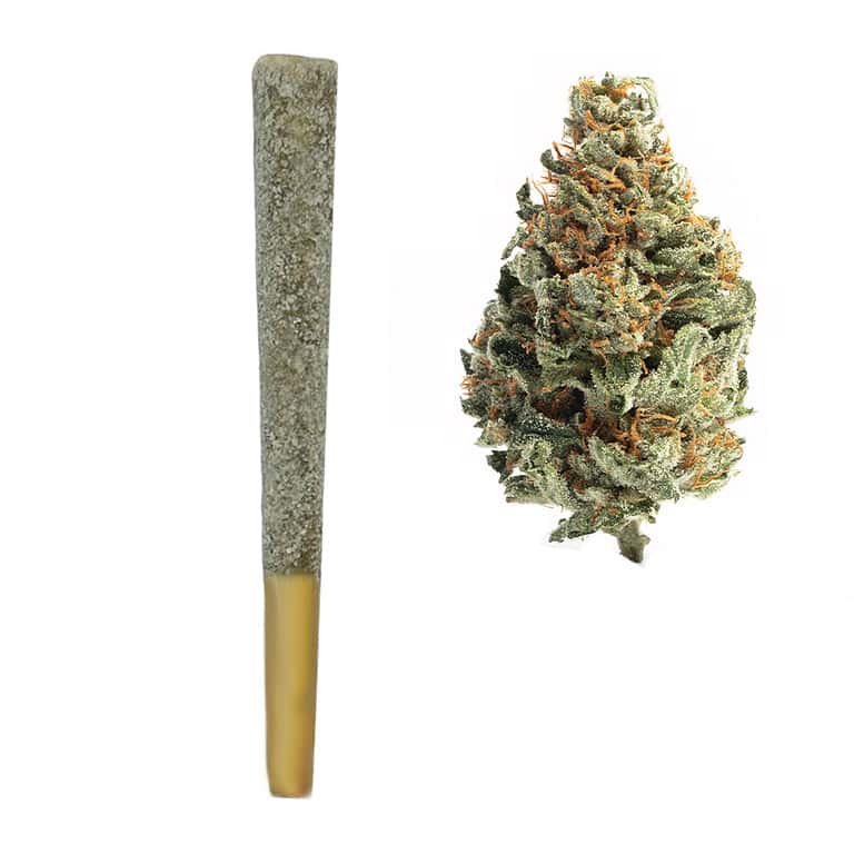 White Runtz Iced THCA Prerolls Coated with Isolate & Diamonds