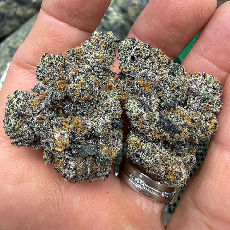 Chimera THCA Flower Pounds | Indoor THCA Bulk Wholesale