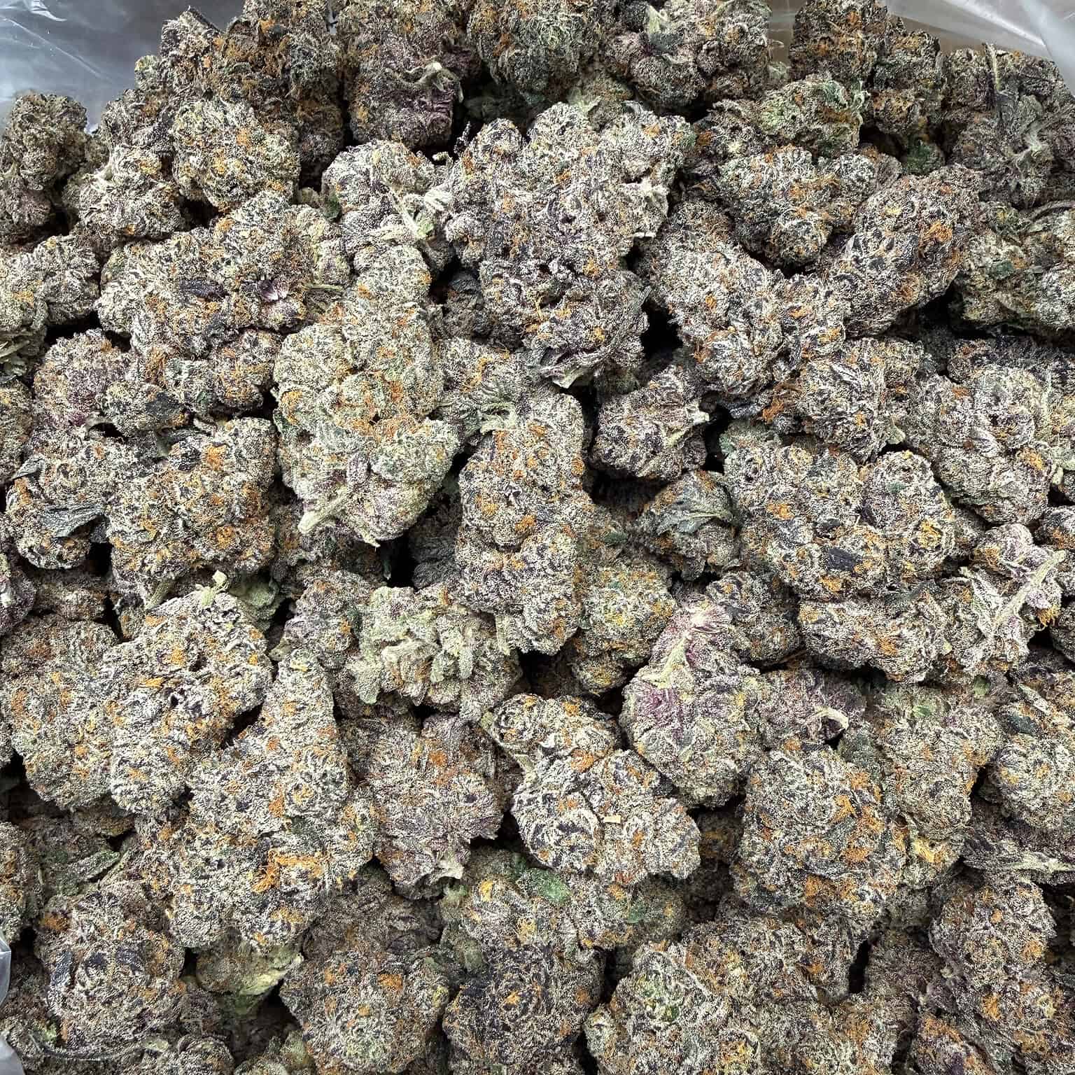 Chimera THCA Flower Pounds | Indoor THCA Bulk Wholesale