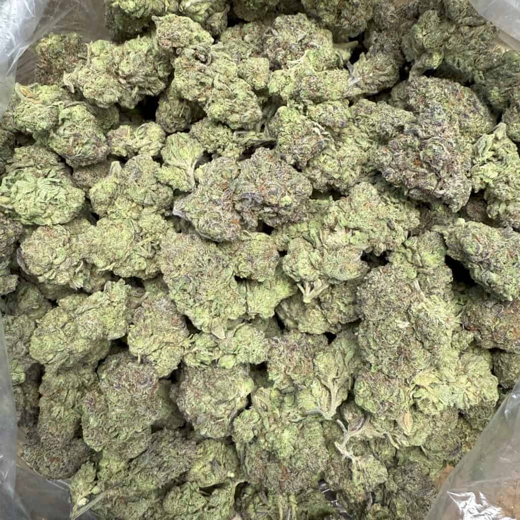 Rudeboi OG THCA Flower Pounds | Indica THCA Flower Bulk