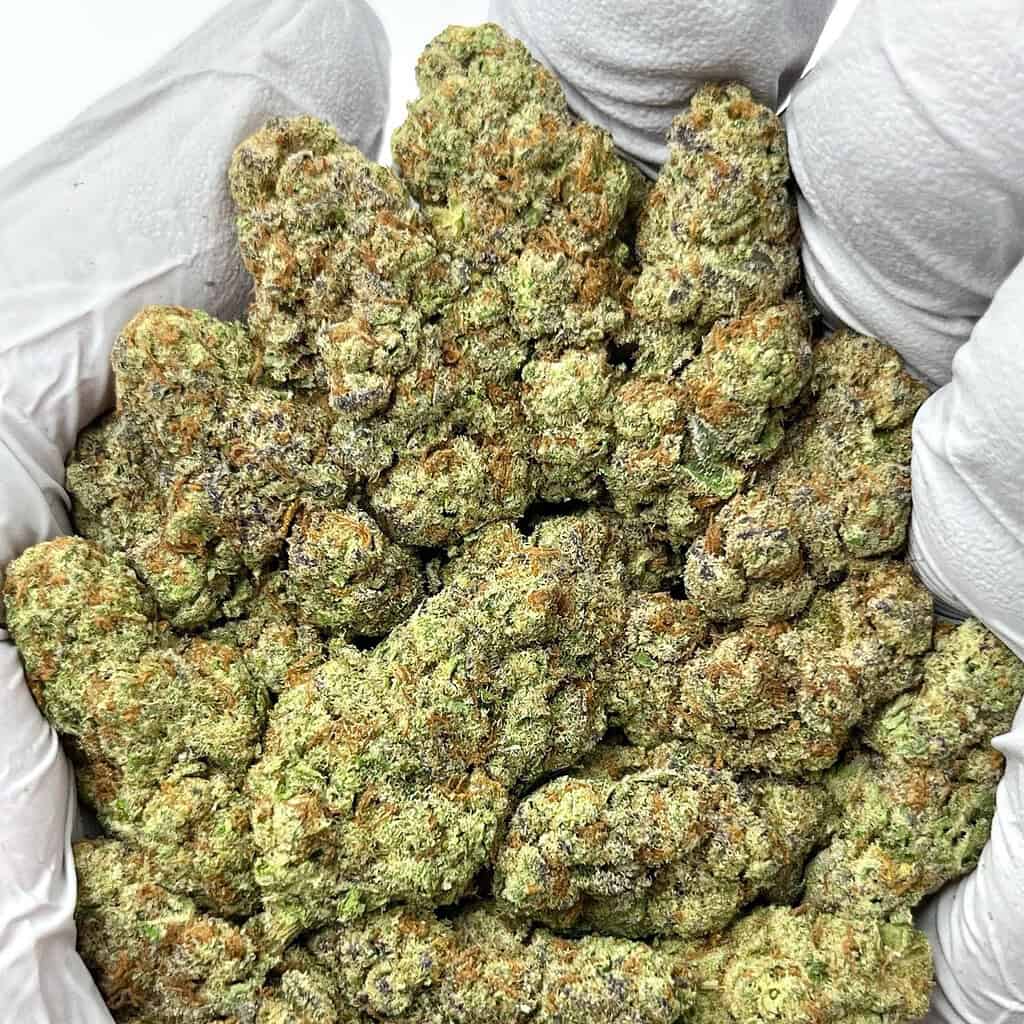 Glitter Bomb THCA Flower | A Bomb Indica Above 30% THCA