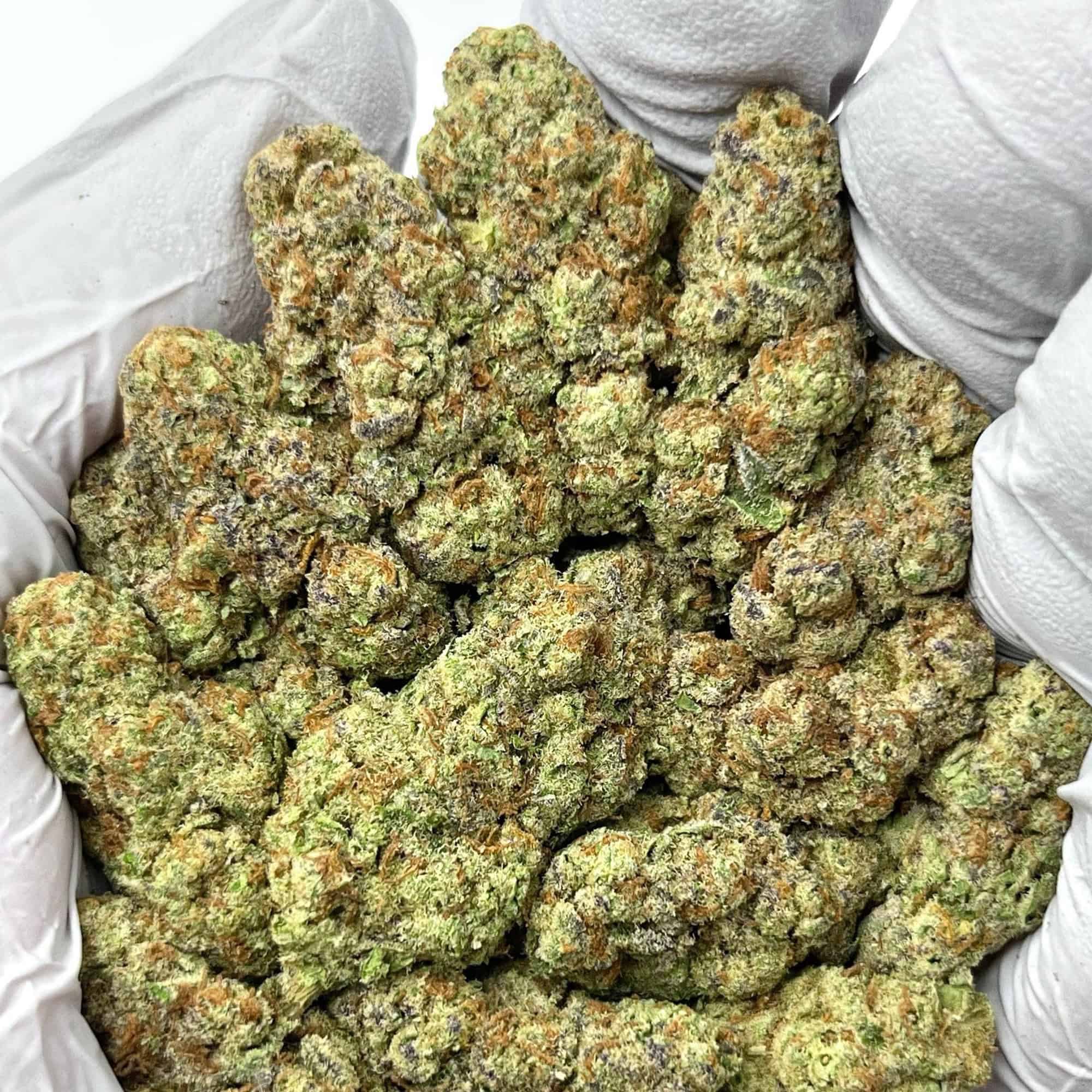 Glitter Bomb THCA Flower | A Bomb Indica Above 30% THCA