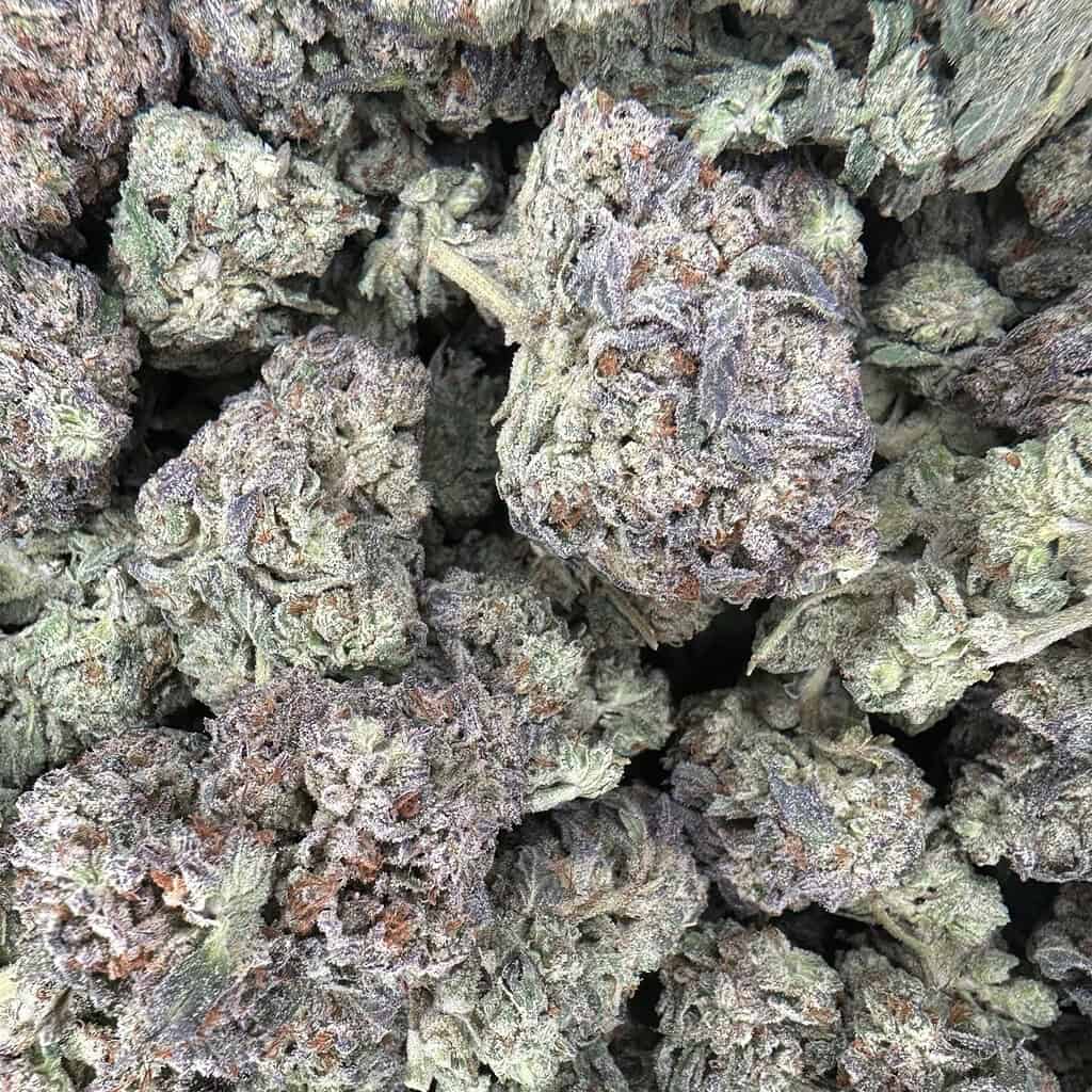 Moonbow THCA Flower | Evenly Balance Hybrid THCA Buds