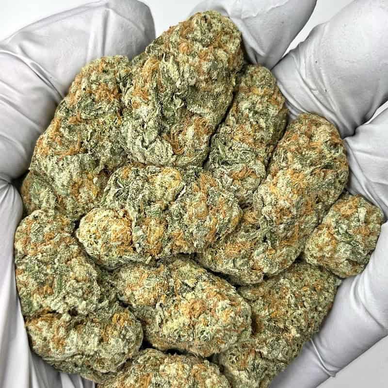 Purple Punch THCA Flower | Indica Strain THCA Flower Pounds