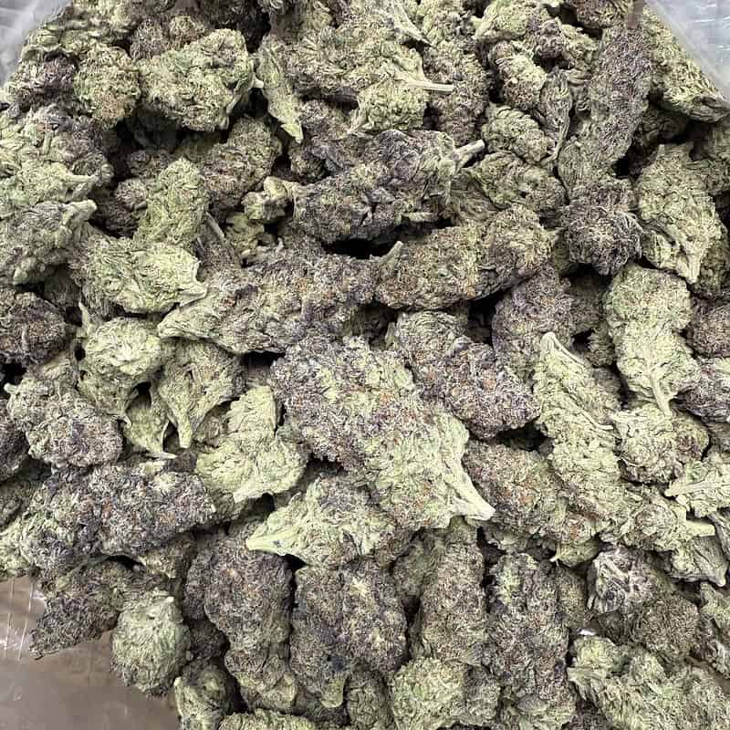 Gush Mintz THCA Flower Pounds | Buy Bulk THCA Flower Pounds