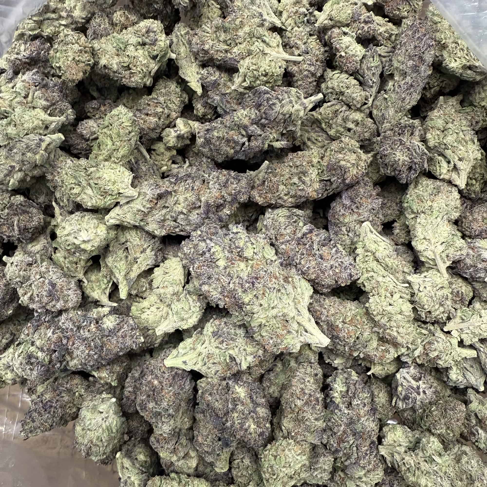 Gush Mintz THCA Flower Pounds | Buy Bulk THCA Flower Pounds