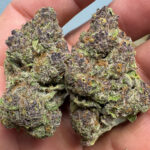 Trop Cherry THCA Flower | Tropicana Cherries THCA Wholesale
