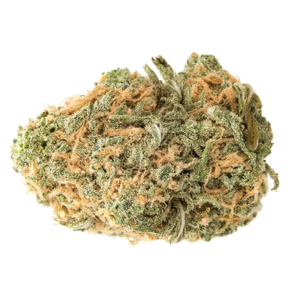 Blue Dream THCA Flower | Sativa THCA Flower Bulk Pounds