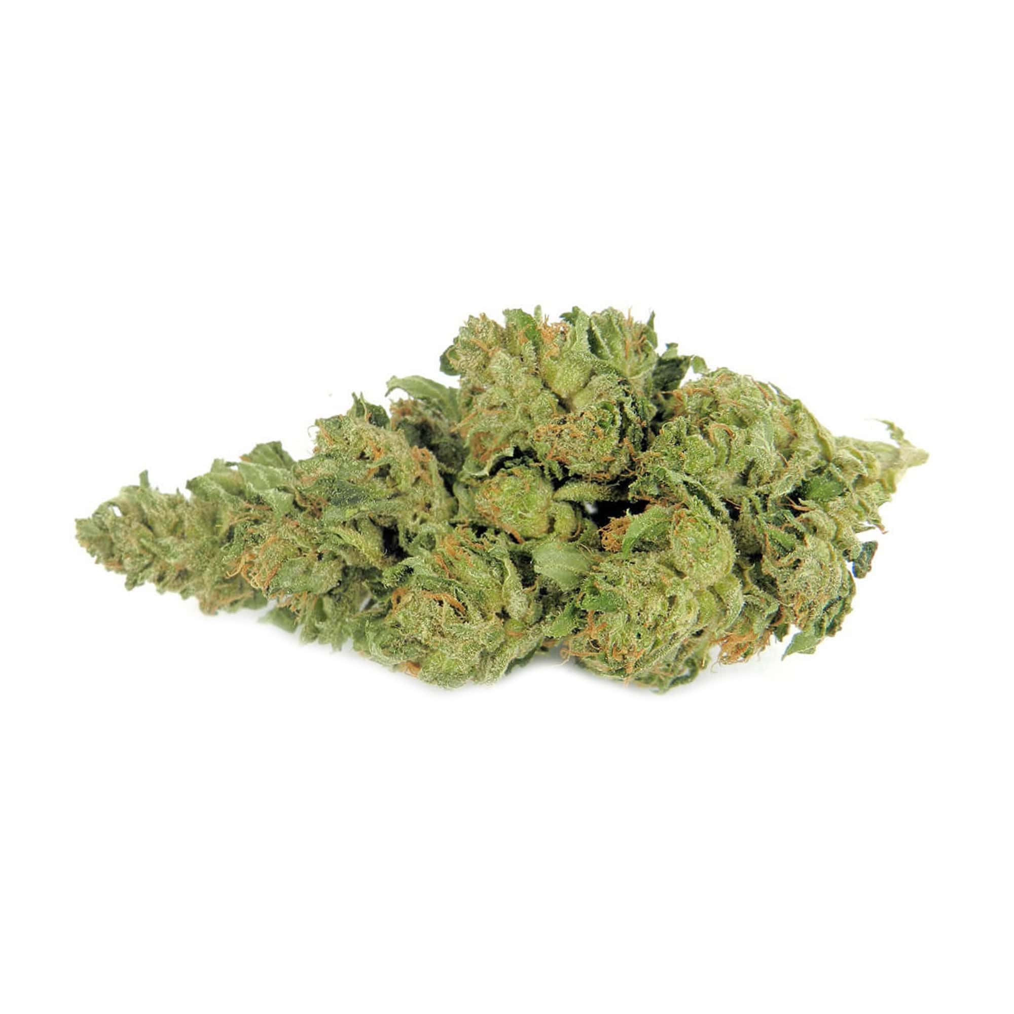 White Kush THCA Flower Pounds Wholesale | Indica Strain THCA