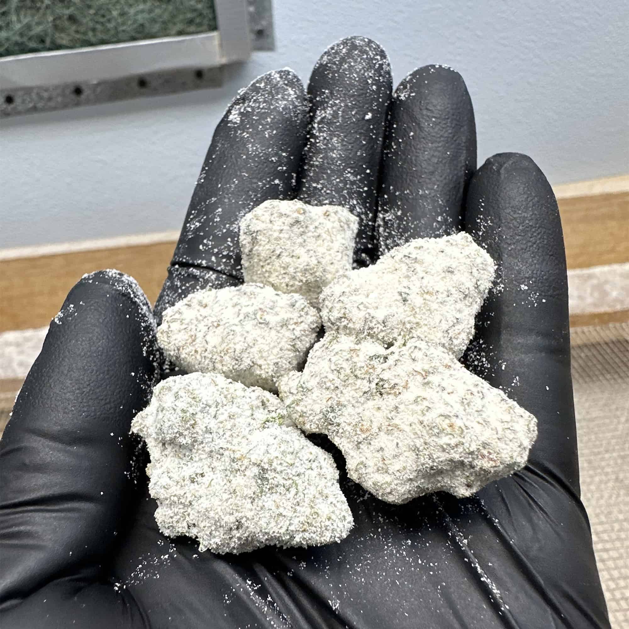 Trop Cherry THCA Snowcaps | Wholesale Snowcap THCA Flower