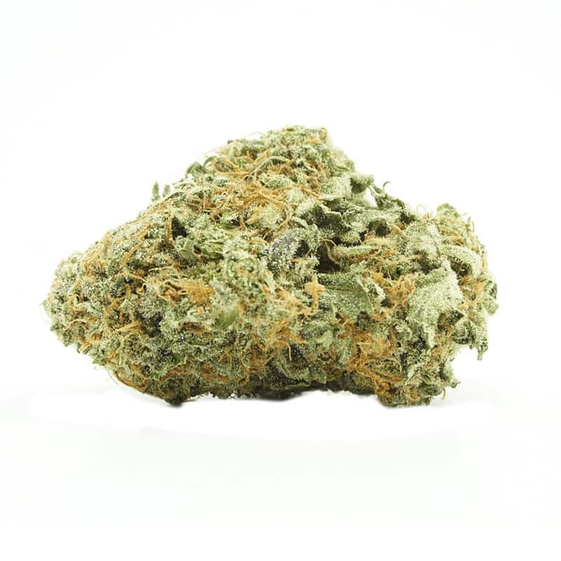 THCA Flower Pounds | Buy Premium Bulk THCA Flower