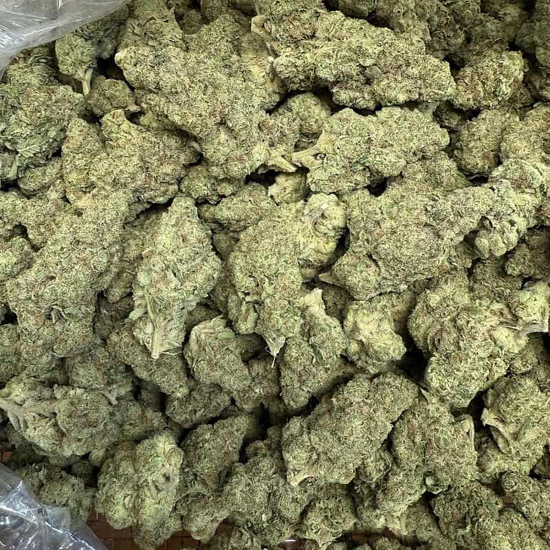 Super Boof THCA Flower Pounds | Wholesale Bulk THCA Flower