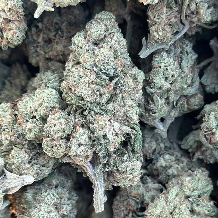 Grape Ape THCA Flower Pounds | Light Deprivation Grown THCA