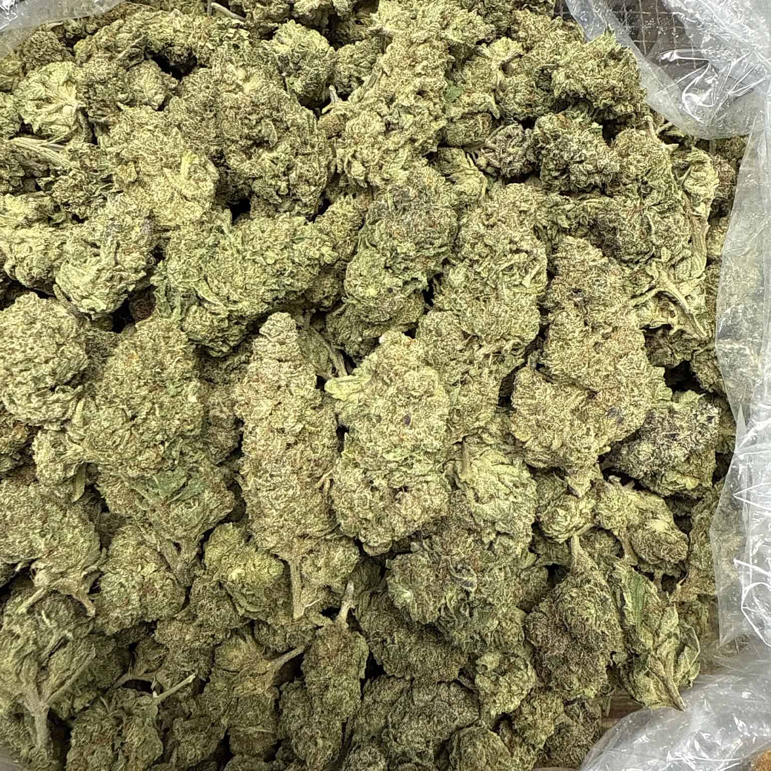 Kush Mintz Bulk THCA Flower Pounds | Wholesale THCA Products