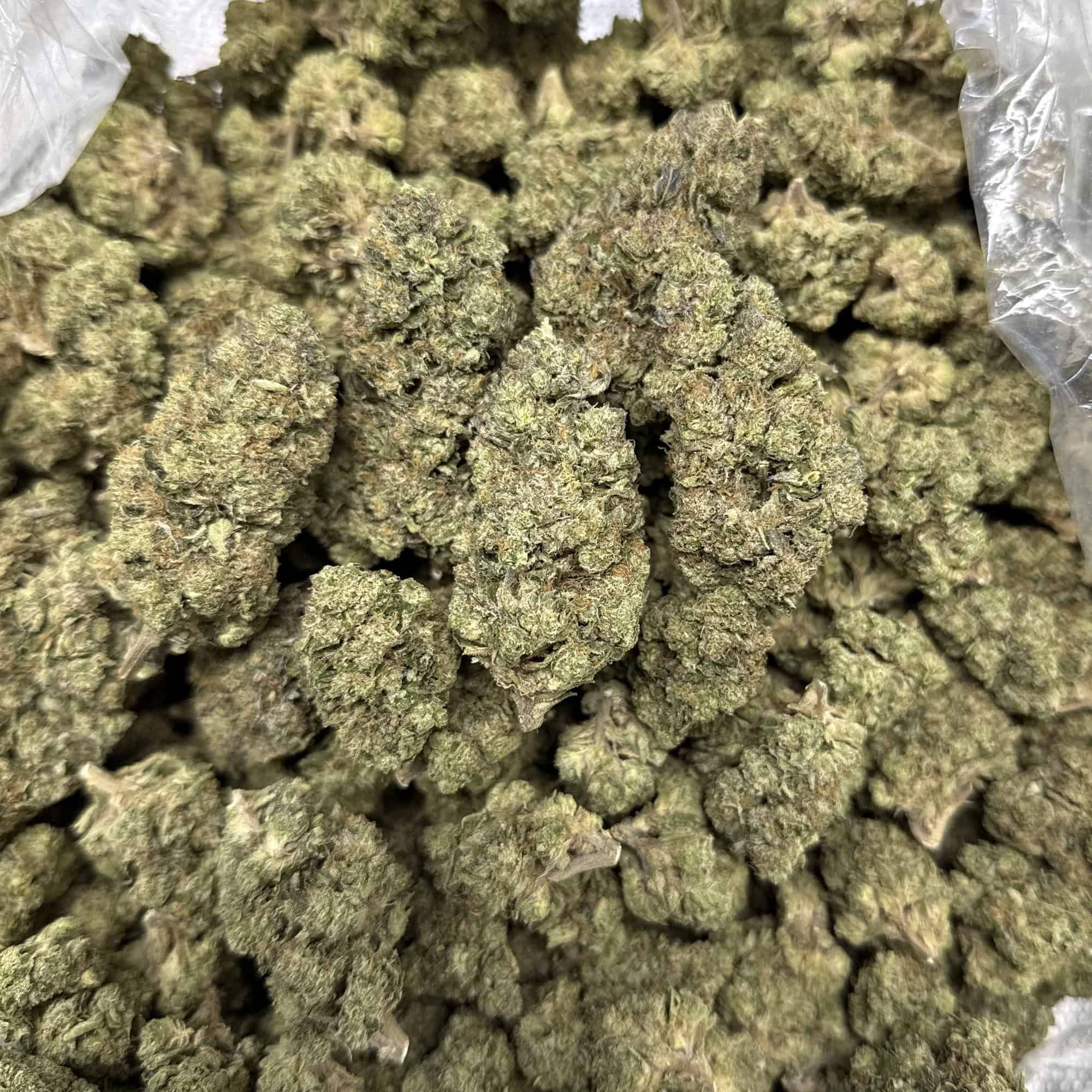 Drippin Dots THCA Flower Bulk Pounds | Wholesale THCA Vendor