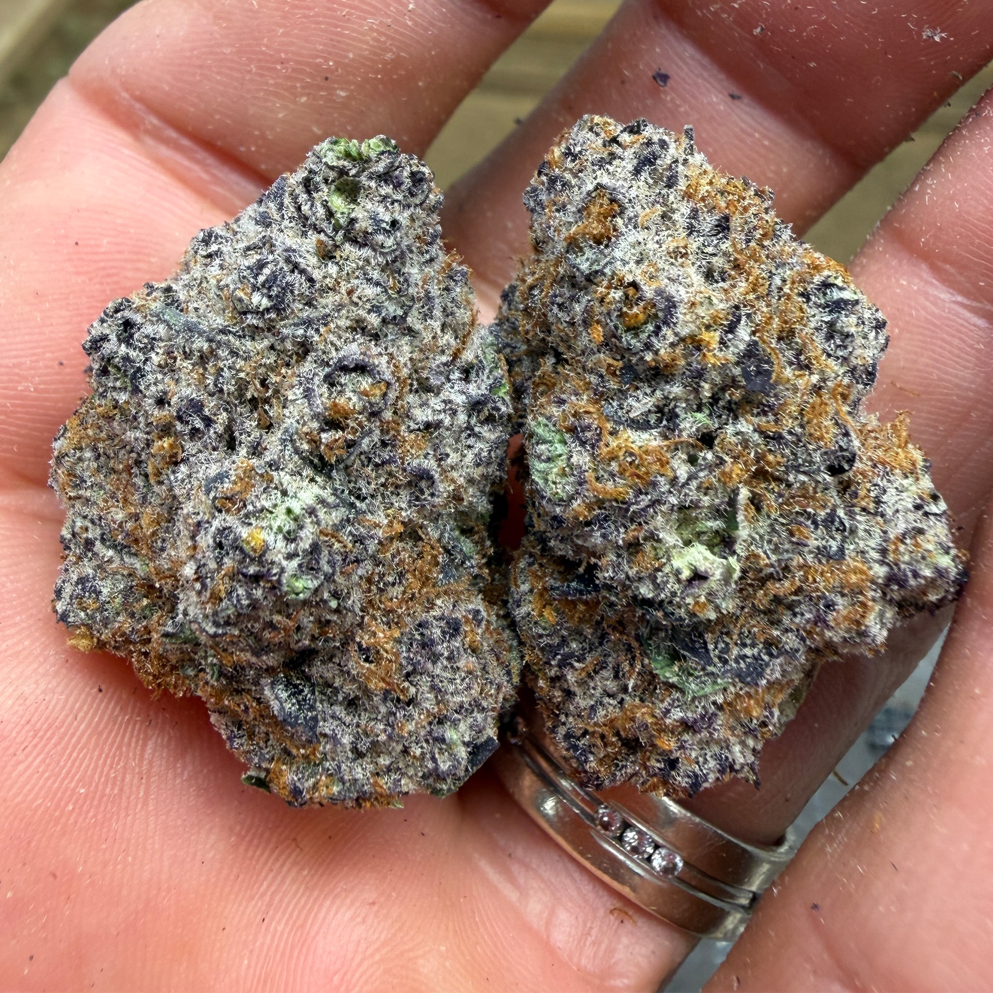 Blue Flame THCA Flower Pounds | Premium Wholesale THCA Lbs.